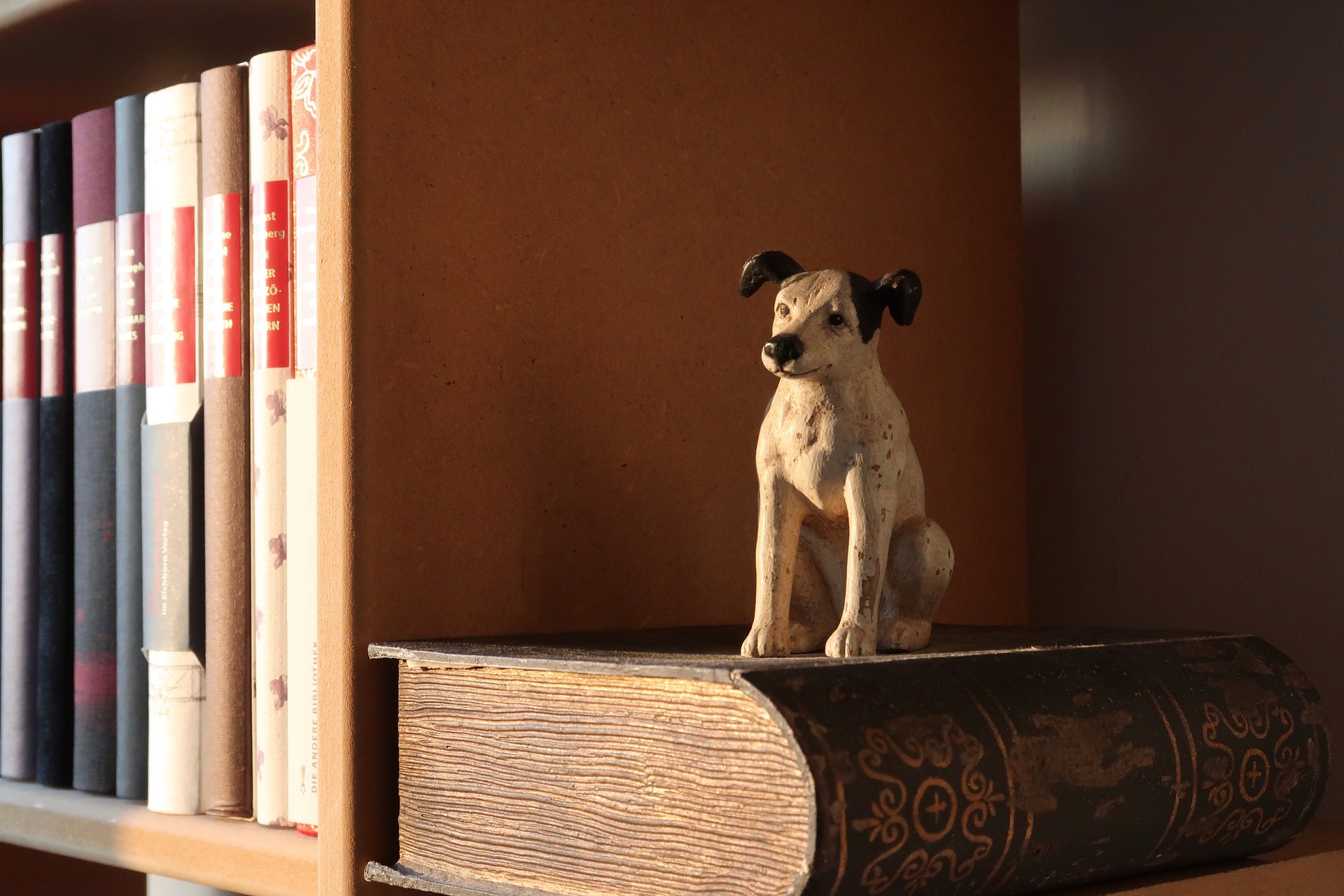 Best Books on Labrador Retrievers - 8pawsup.com